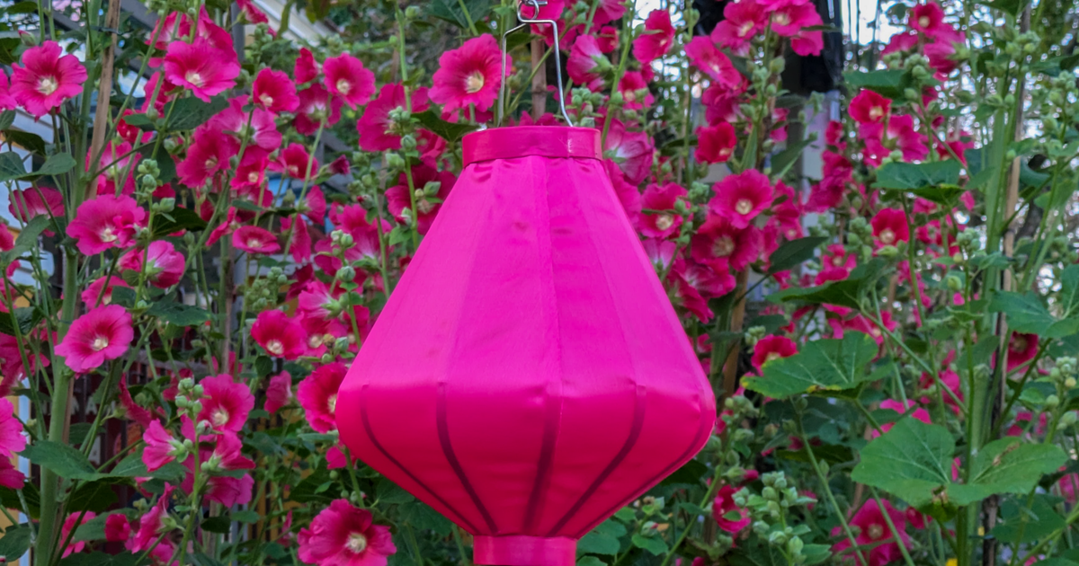 Plain Hot Pink Lanterns – Hoi An Lanterns Online | Global Store